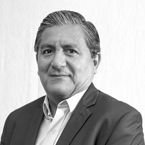 Docentes – Virtual IPBF